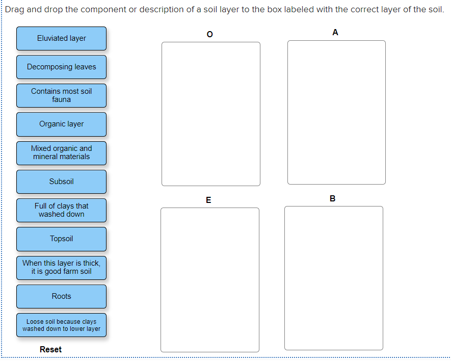 Solved Drag and drop the component or description of a soil | Chegg.com