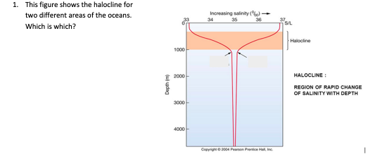 Solved A) The right-hand halocline is found in low latitudes | Chegg.com