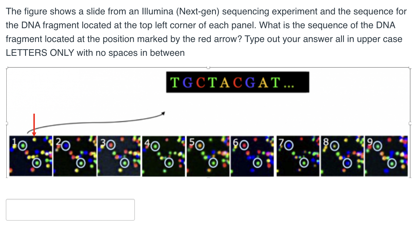 Solved The figure shows a slide from an Illumina (Next-gen) | Chegg.com