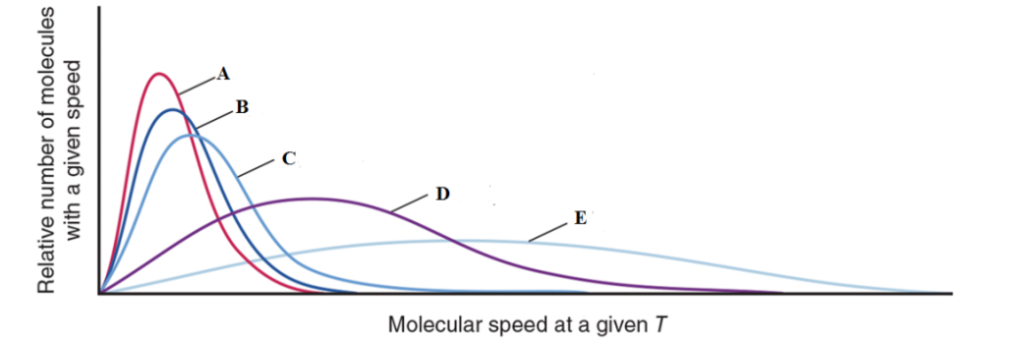 Solved The graph below shows the molecular speed | Chegg.com