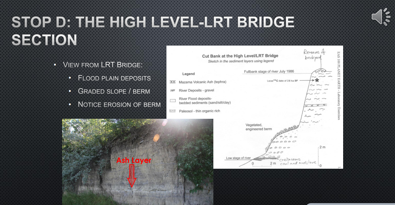 Solved STOP D: THE HIGH LEVEL-LRT BRIDGE SECTION Stop | Chegg.com