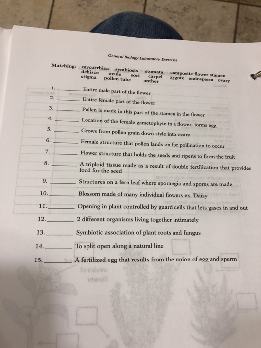 Solved Plants and Fungi HOMEWORK 15: PLANTS AND FUNGI | Chegg.com
