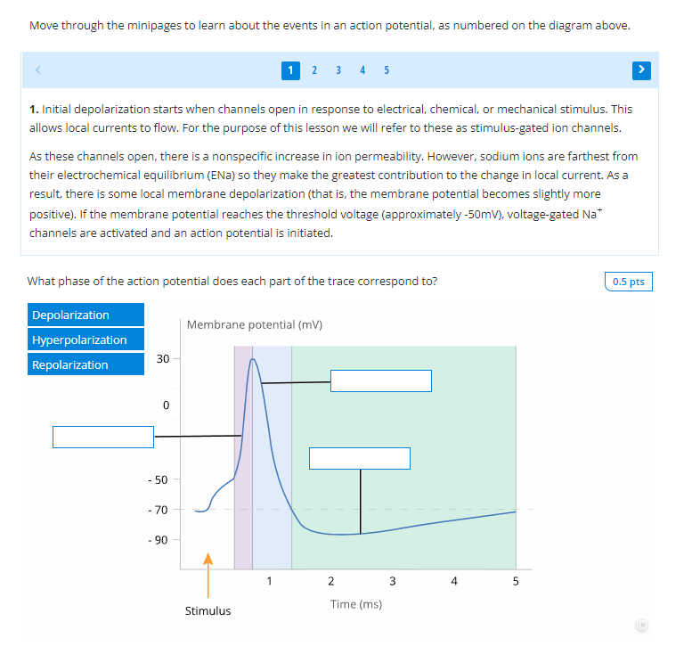 Solved What does the green trace represent? Cl−permeability | Chegg.com