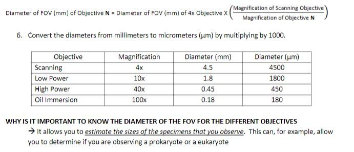 Solved Suppose a bacterial cell is 2 micrometers (μm) | Chegg.com