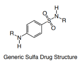 Solved Z-I O=C=0 Generic Sulfa Drug Structure Z-I R You | Chegg.com