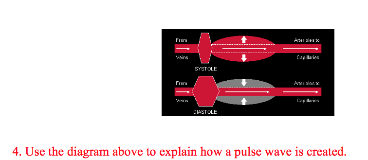 Solved 4. Use the diagram above to explain how a pulse wave | Chegg.com