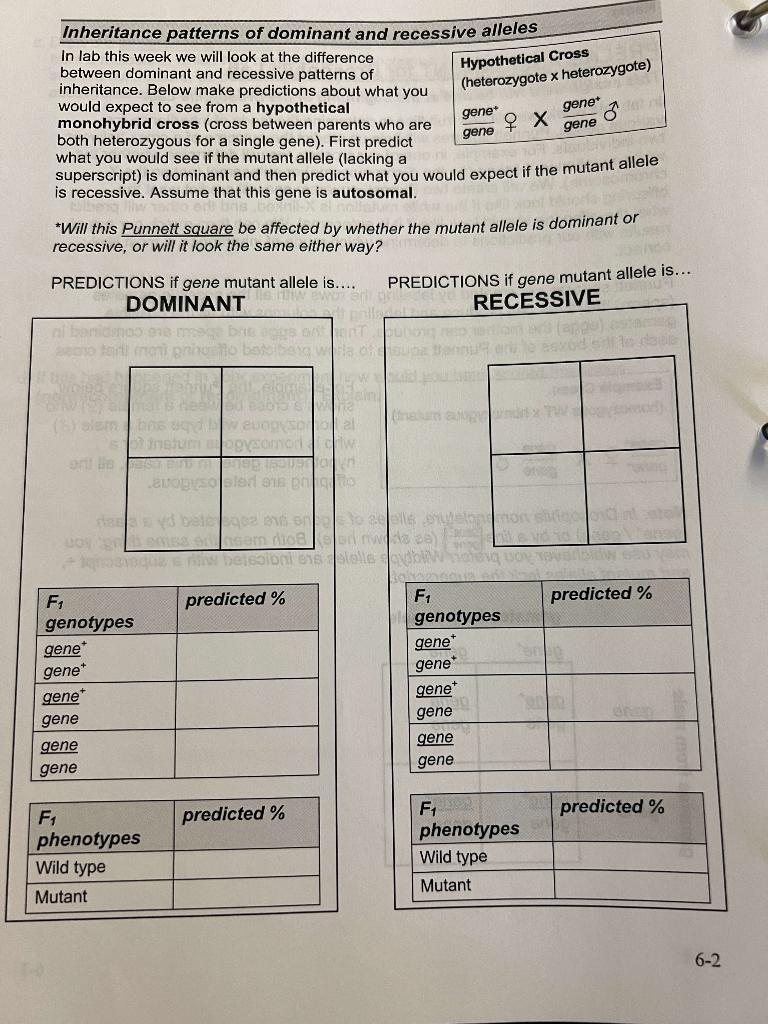 Solved Inheritance patterns of dominant and recessive | Chegg.com