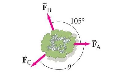 Solved Three forces are applied to a tree sapling, as shown | Chegg.com