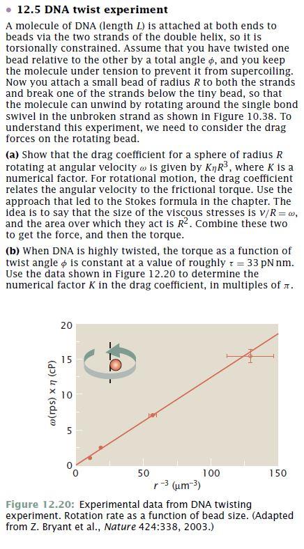 12.5 DNA twist experiment A molecule of DNA (length | Chegg.com