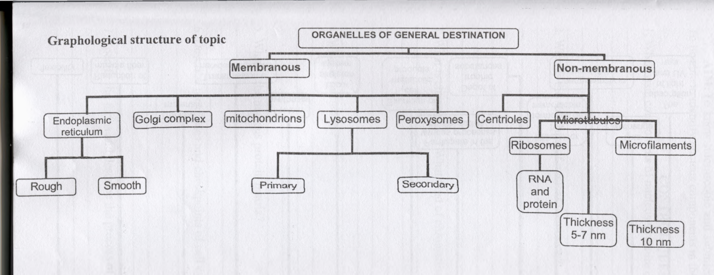 Solved Task 2. Using the Topic logical structure flowchart, | Chegg.com