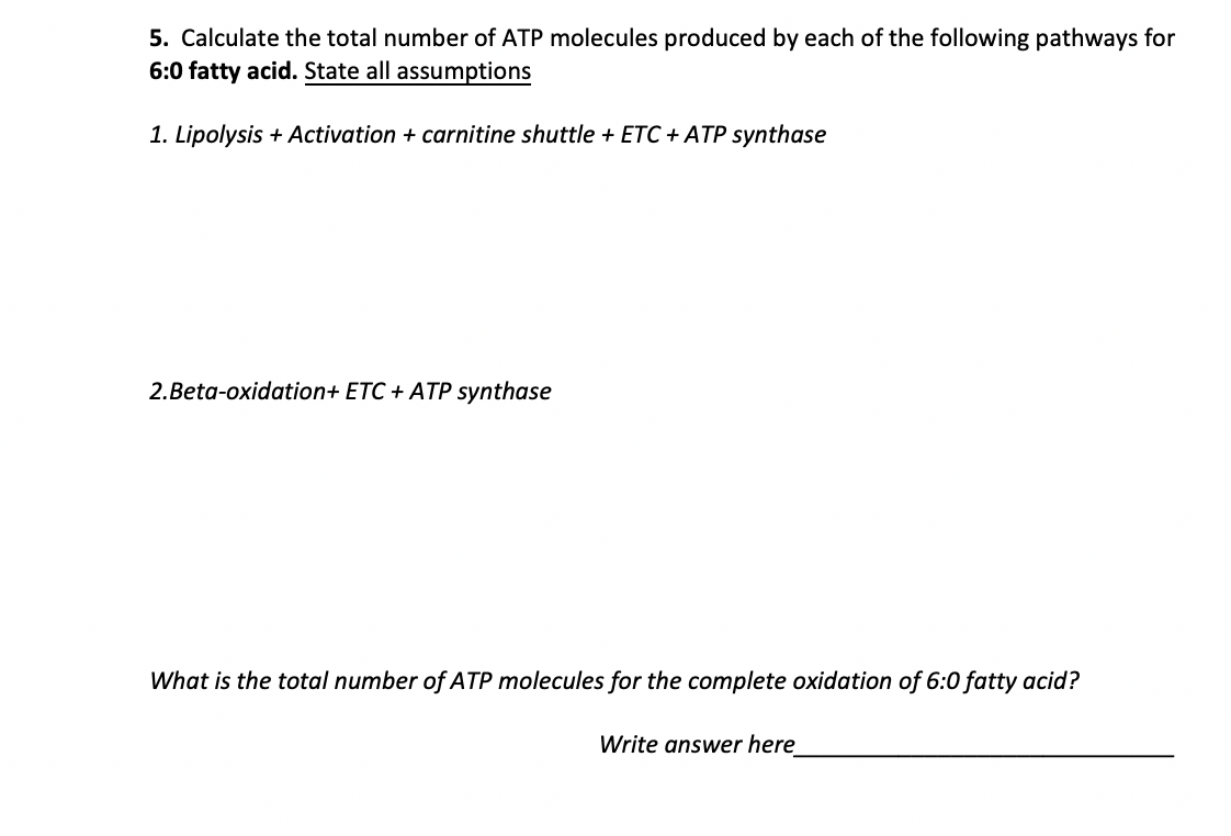 Solved 4. Calculate the total number of ATP molecules | Chegg.com