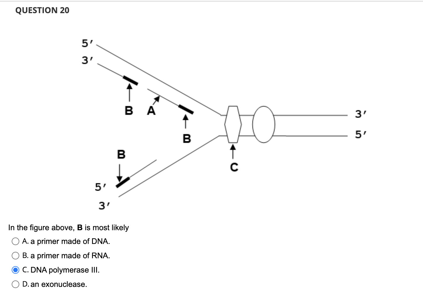 Solved QUESTION 20 In the figure above, B is most likely A. | Chegg.com