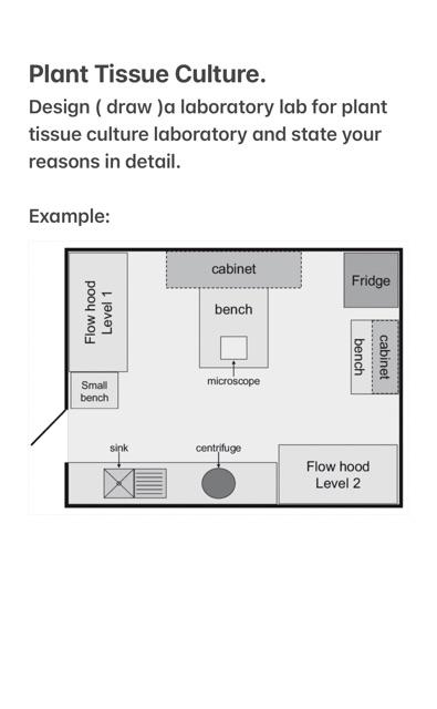 Plant Tissue Culture Laboratory Design Layout