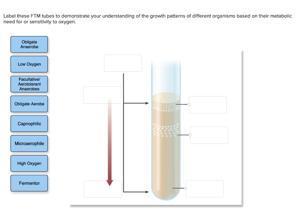 Solved Read the overview and complete the interactivities | Chegg.com