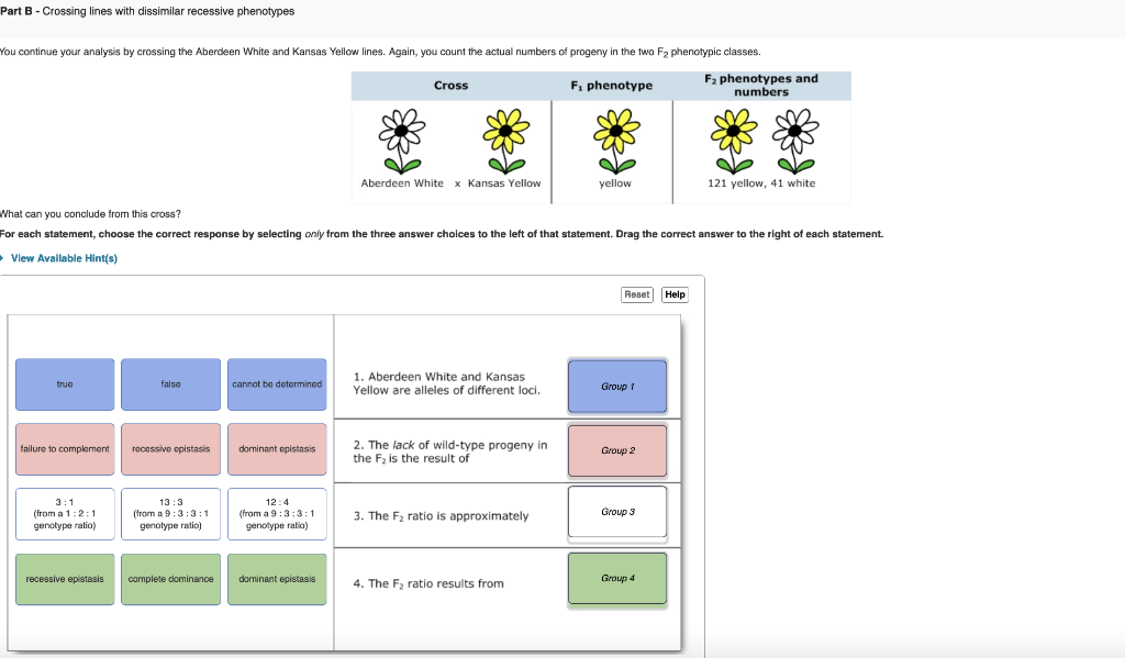 Solved You study color variants of Arabidopsis hypotheticus, | Chegg.com