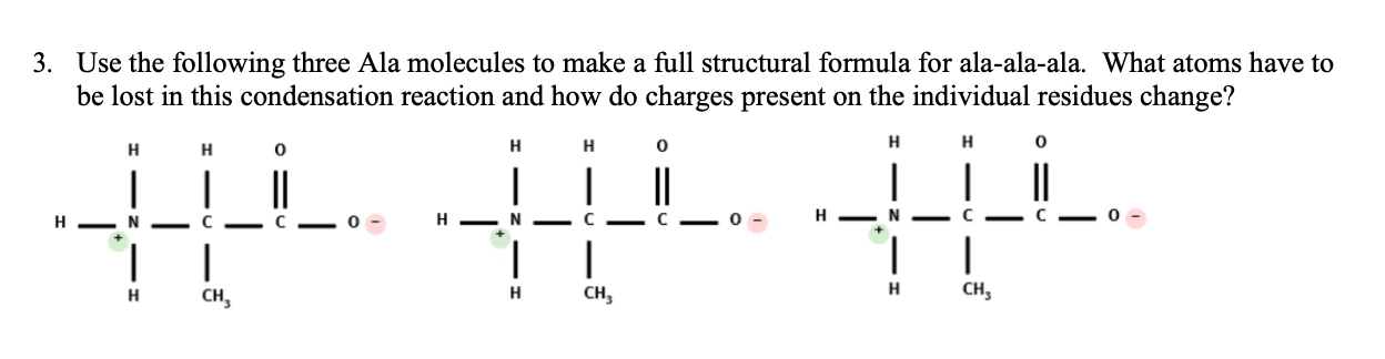 Solved 3. Use the following three Ala molecules to make a | Chegg.com