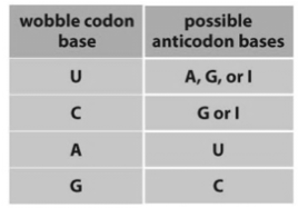 Solved The anticodon sequence of a glycine-specific tRNA is | Chegg.com