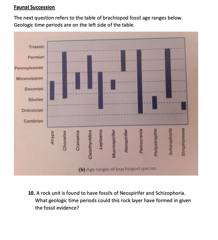 Solved Faunal Succession The next question refers to the | Chegg.com