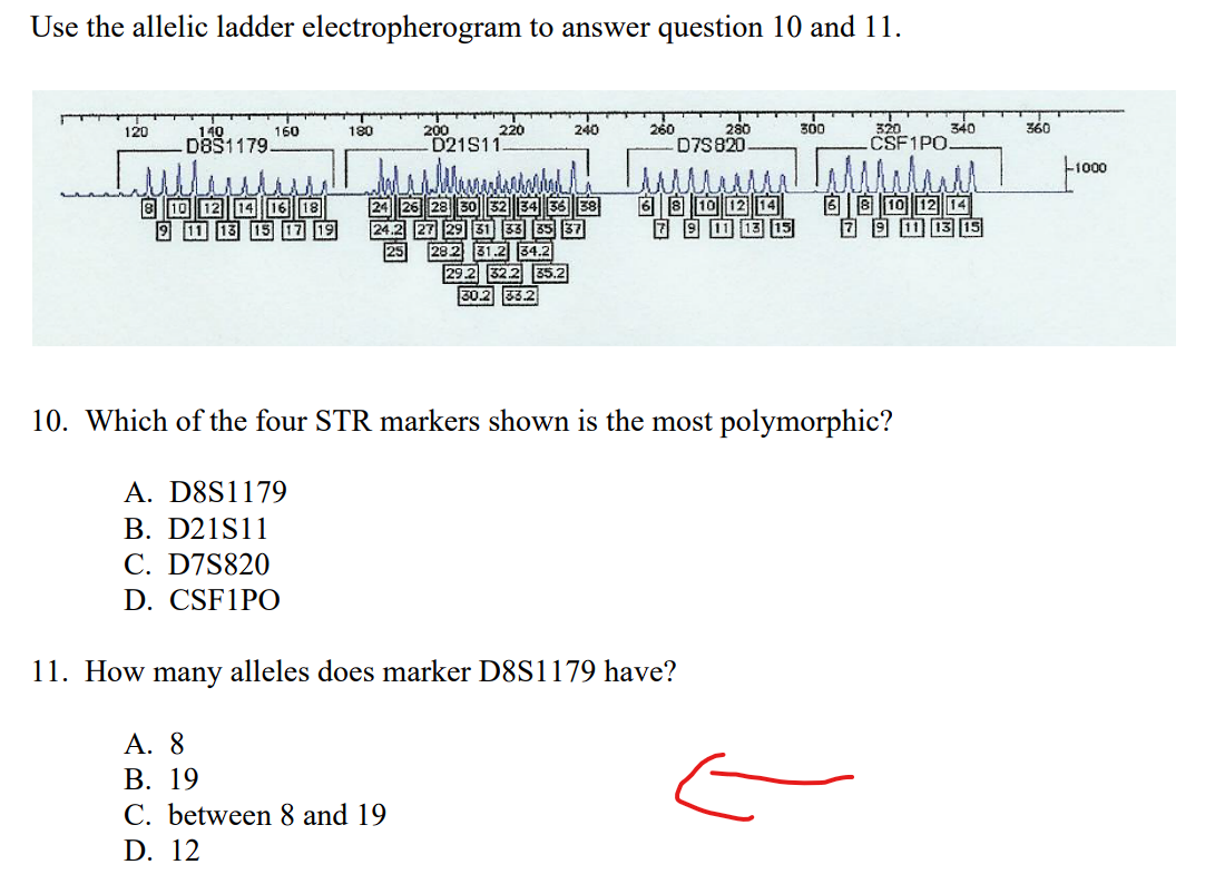 Solved Use the allelic ladder electropherogram to answer | Chegg.com