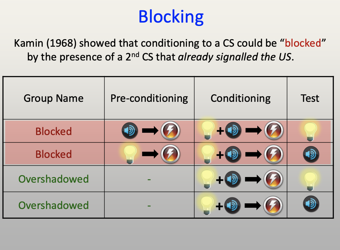 Solved Overshadowing Conditioning TEST 20 15 Magazine | Chegg.com