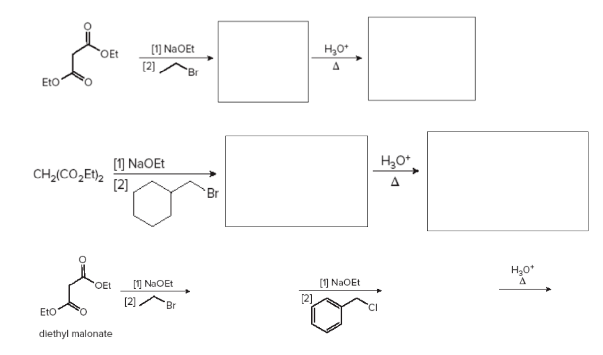 Solved OEt [1] NaOEt [2] Br H2O* A Eto Н,0*. CH (CO2Et)2 [1] | Chegg.com