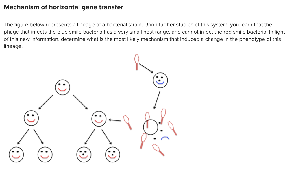 Solved Mechanism of horizontal gene transfer The figure | Chegg.com