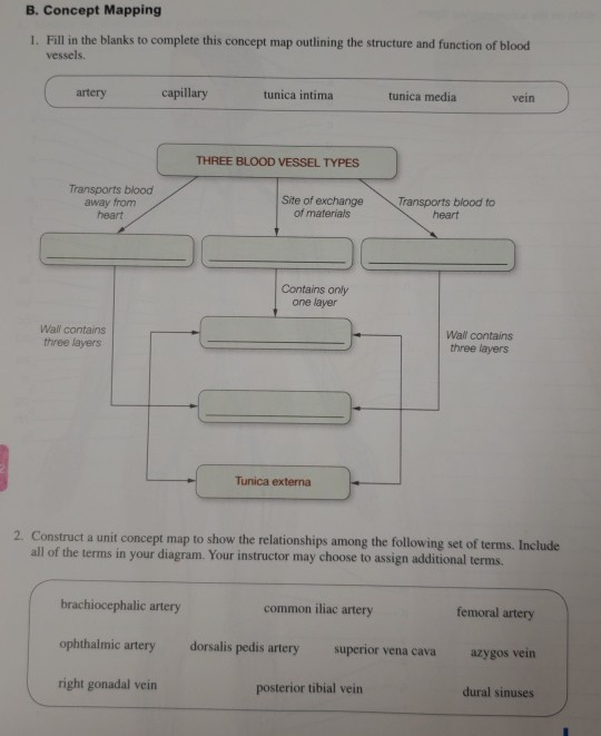 Solved B. Concept Mapping 1. Fill in the blanks to complete | Chegg.com