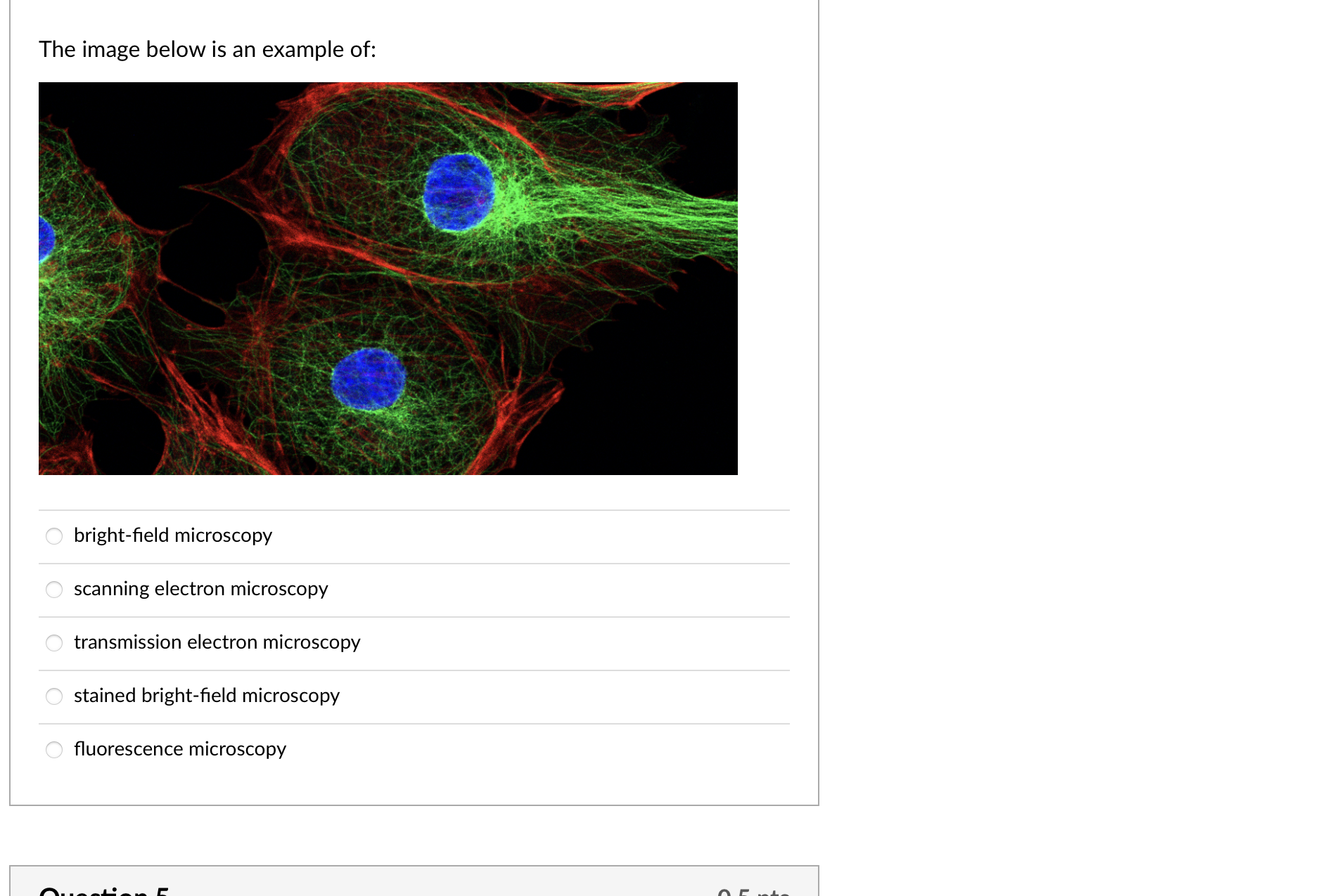 Solved The image below is an example of: microscopy Group of | Chegg.com