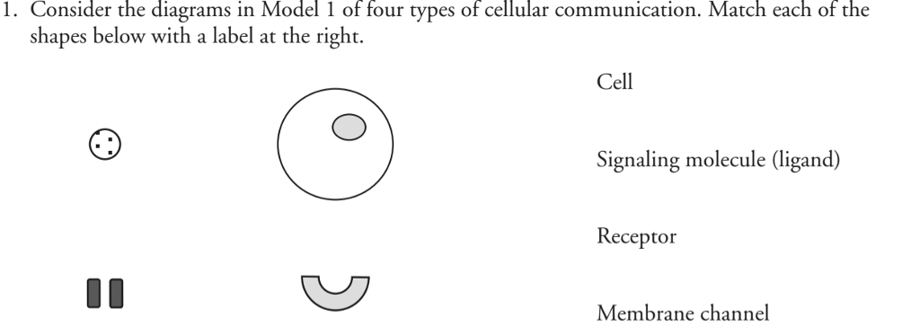 Cellular Communication Is Illustrated In The Diagram Below - Wiring ...