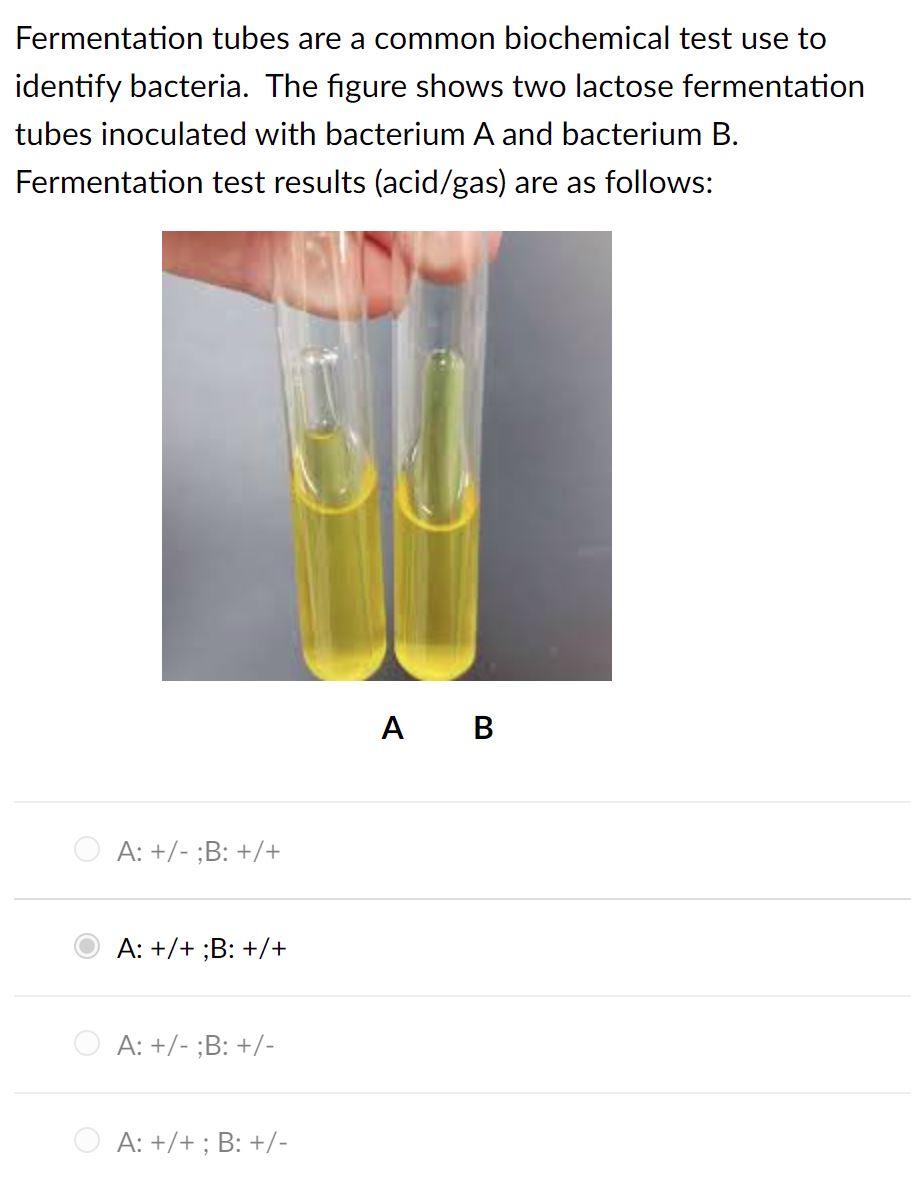 Solved Fermentation tubes are a common biochemical test use | Chegg.com