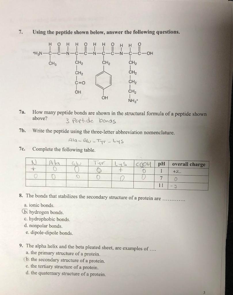 Solved Can some one help me correct the chart on 7c please | Chegg.com