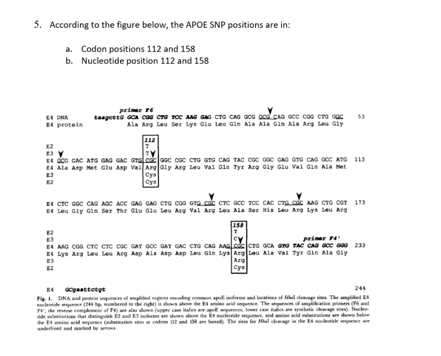 Solved 5. According to the figure below, the APOE SNP | Chegg.com