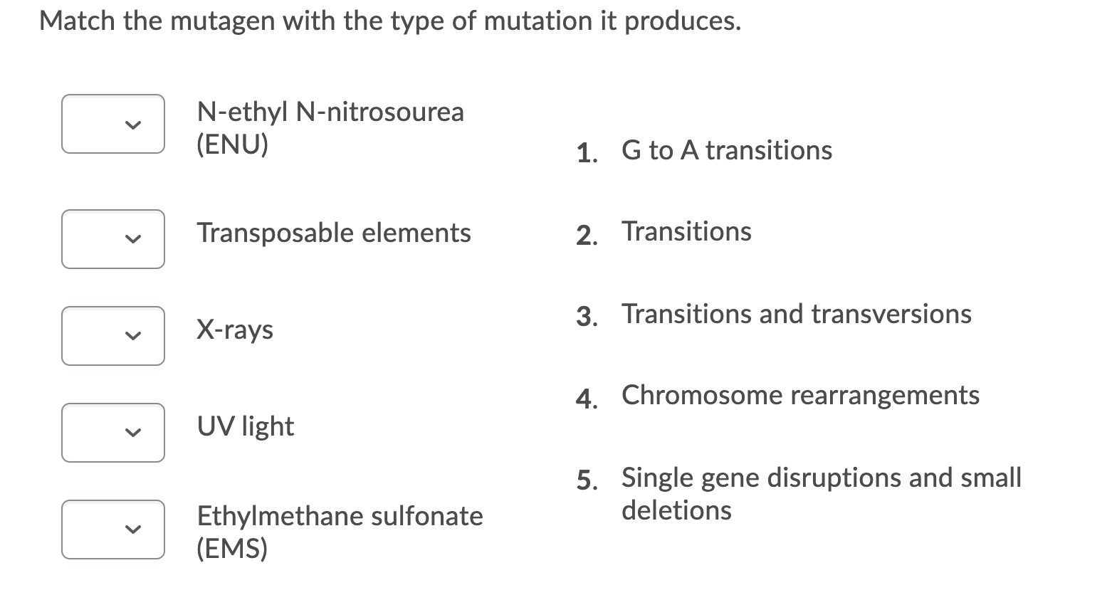 Solved Match the mutagen with the type of mutation it | Chegg.com