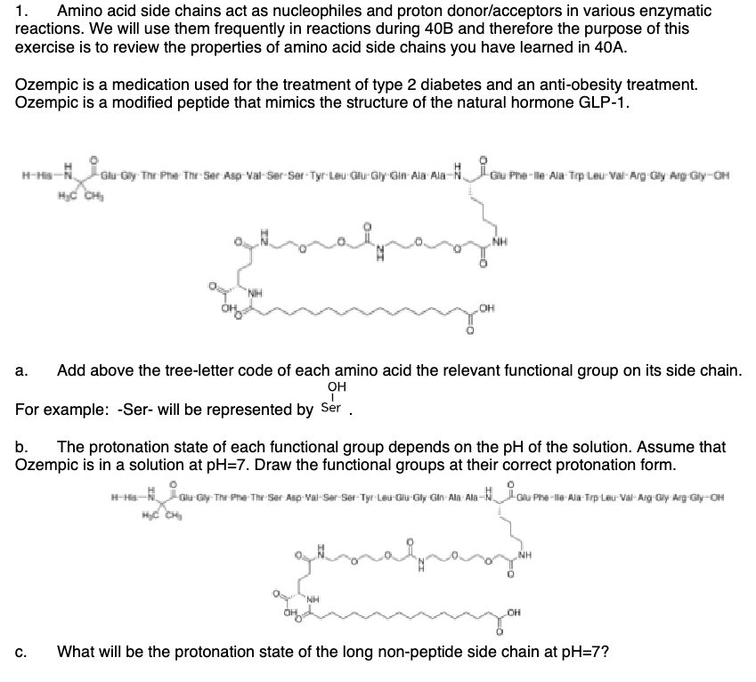 Solved a. ﻿Add above the tree-letter code of each amino acid | Chegg.com