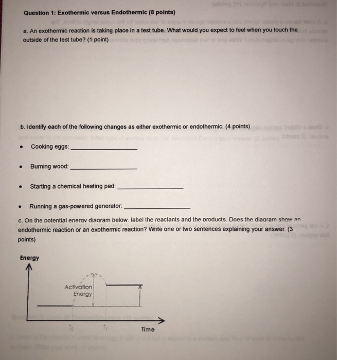 Solved Question 1: Exothermic versus Endothermic (8 points) | Chegg.com