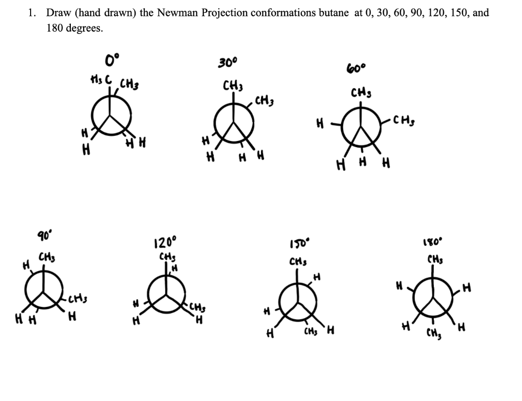 Solved 1. Draw (hand drawn) the Newman Projection | Chegg.com