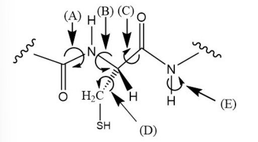 Solved Use the attached structure to answer the following | Chegg.com