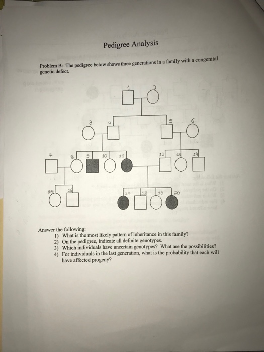 Solved Pedigree Analysis Problem A: The pedigree below shows | Chegg.com