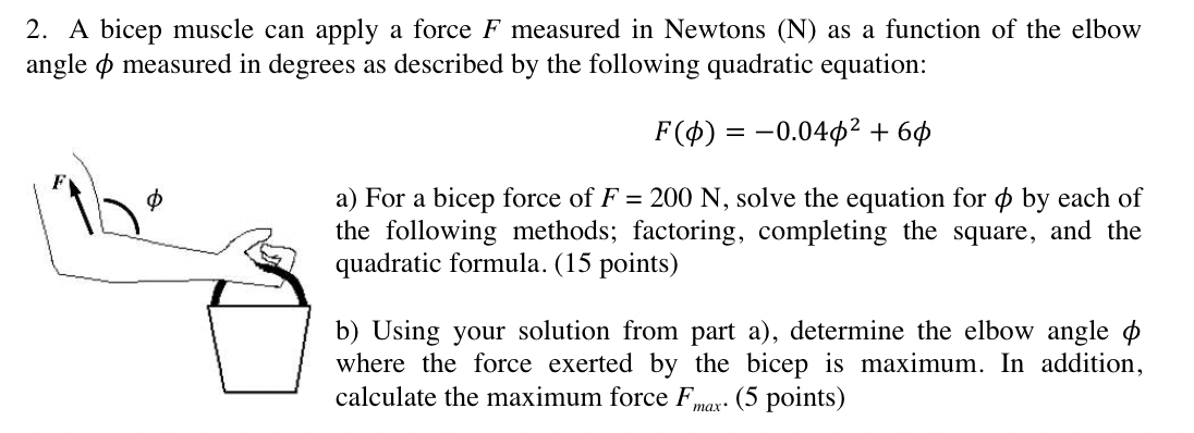 Solved 2. A bicep muscle can apply a force F measured in | Chegg.com