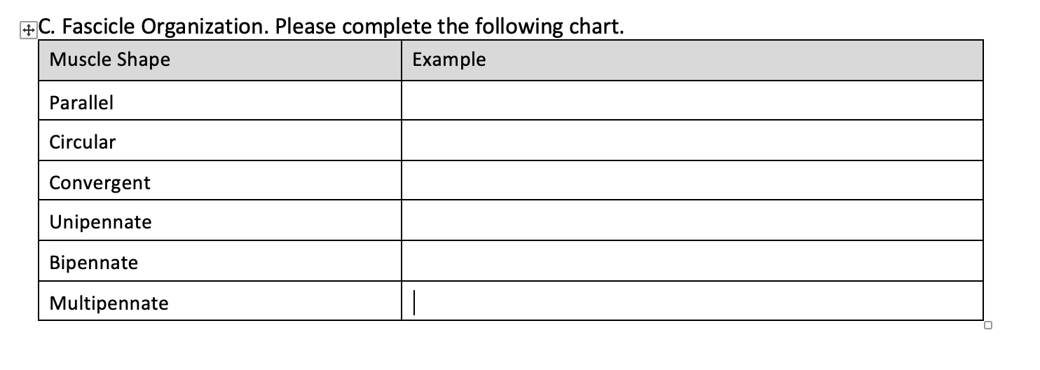 Solved 丹C. Fascicle Organization. Please complete the | Chegg.com