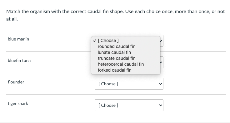 Solved Match the organism with the correct caudal fin shape. | Chegg.com