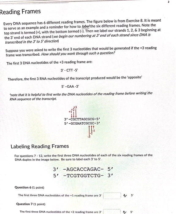 Solved Labeling Reading Frames For questions 7 - 12, write | Chegg.com