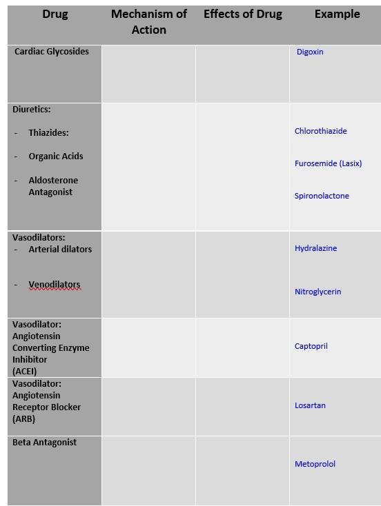 Solved Drug Example Mechanism of Effects of Drug Action | Chegg.com