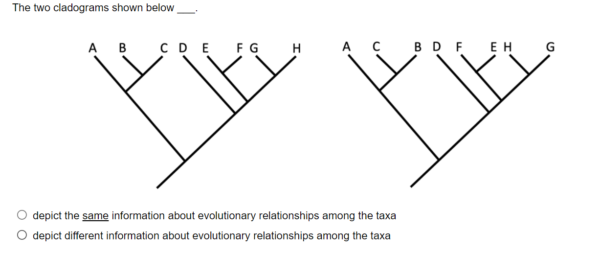 Solved The two cladograms shown below A C D E F G B D F EH G | Chegg.com