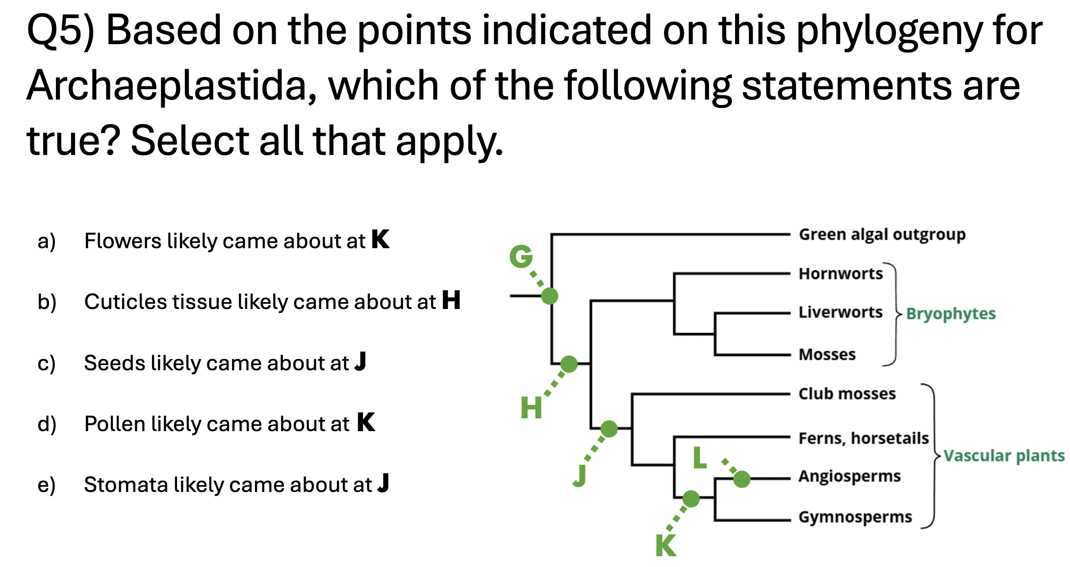 Solved Q5) ﻿Based on the points indicated on this phylogeny | Chegg.com
