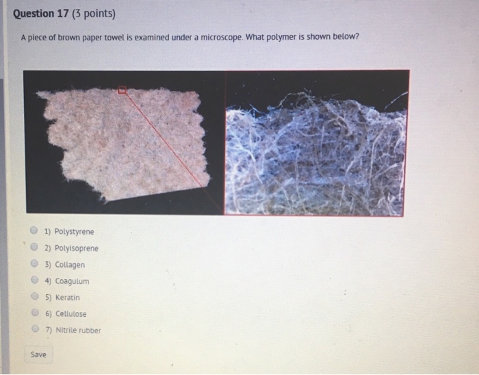 Solved Question 17 (3 points) A piece of brown paper towel | Chegg.com