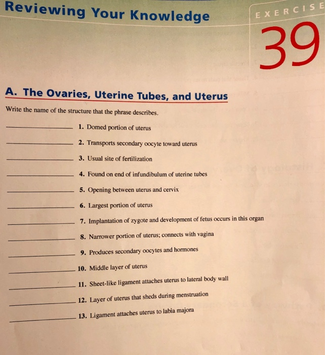 Solved Reviewing Your Knowledge EXERCISE 39 A. The Ovaries, | Chegg.com