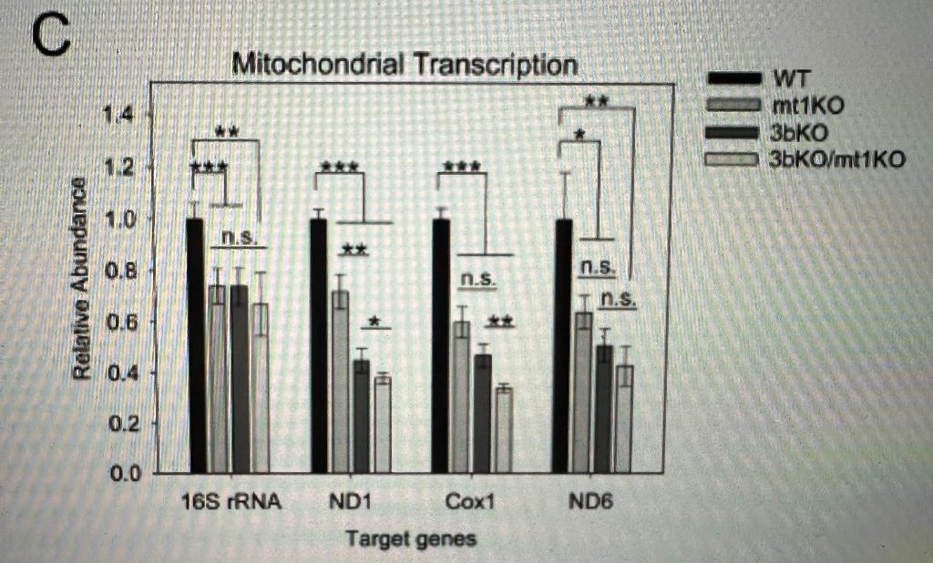 Solved Look at the figure below and evaluate the following | Chegg.com