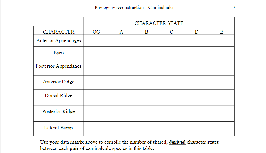 Phylogeny reconstruction - Caminalcules 7 CHARACTER | Chegg.com