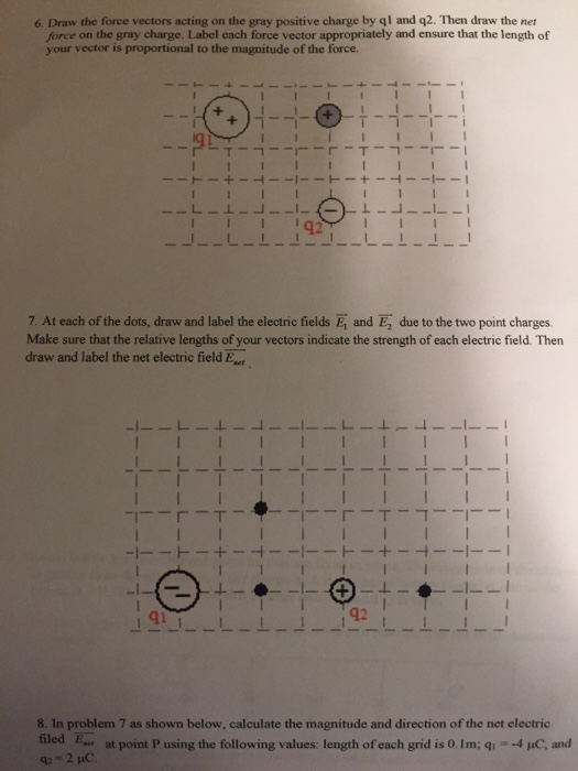 Solved Draw the force vectors acting on the gray positive | Chegg.com